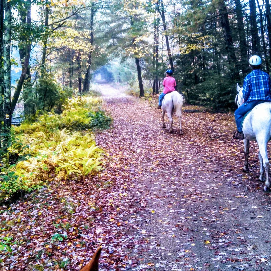 Nature Horseback Trail Ride%%Learn to ride horses%% %%Lessons Trail ...