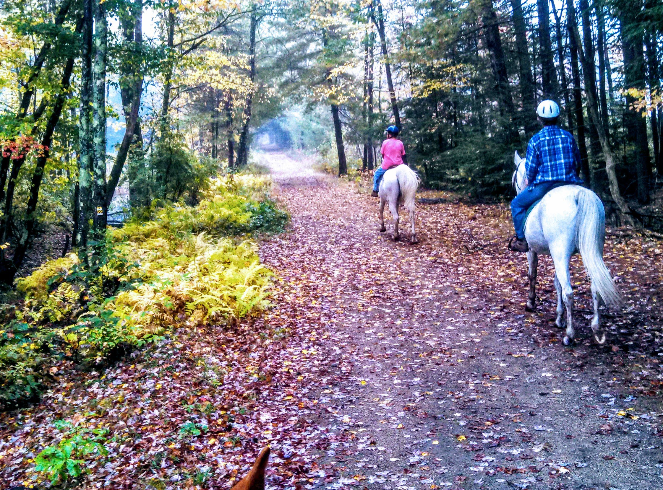 Nature Horseback Trail Ride%%Learn to ride horses%% %%Lessons Trail ...