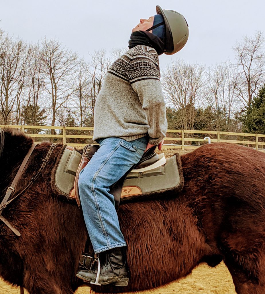 Andy camel pose%%Learn to ride horses%% %%Lessons Trail Beach ...